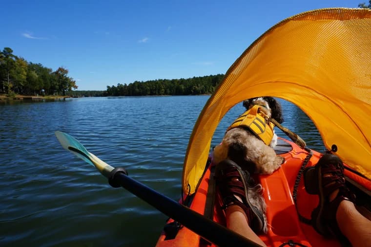Kayak Dog Platforms: Adventure Companion for Your Pup