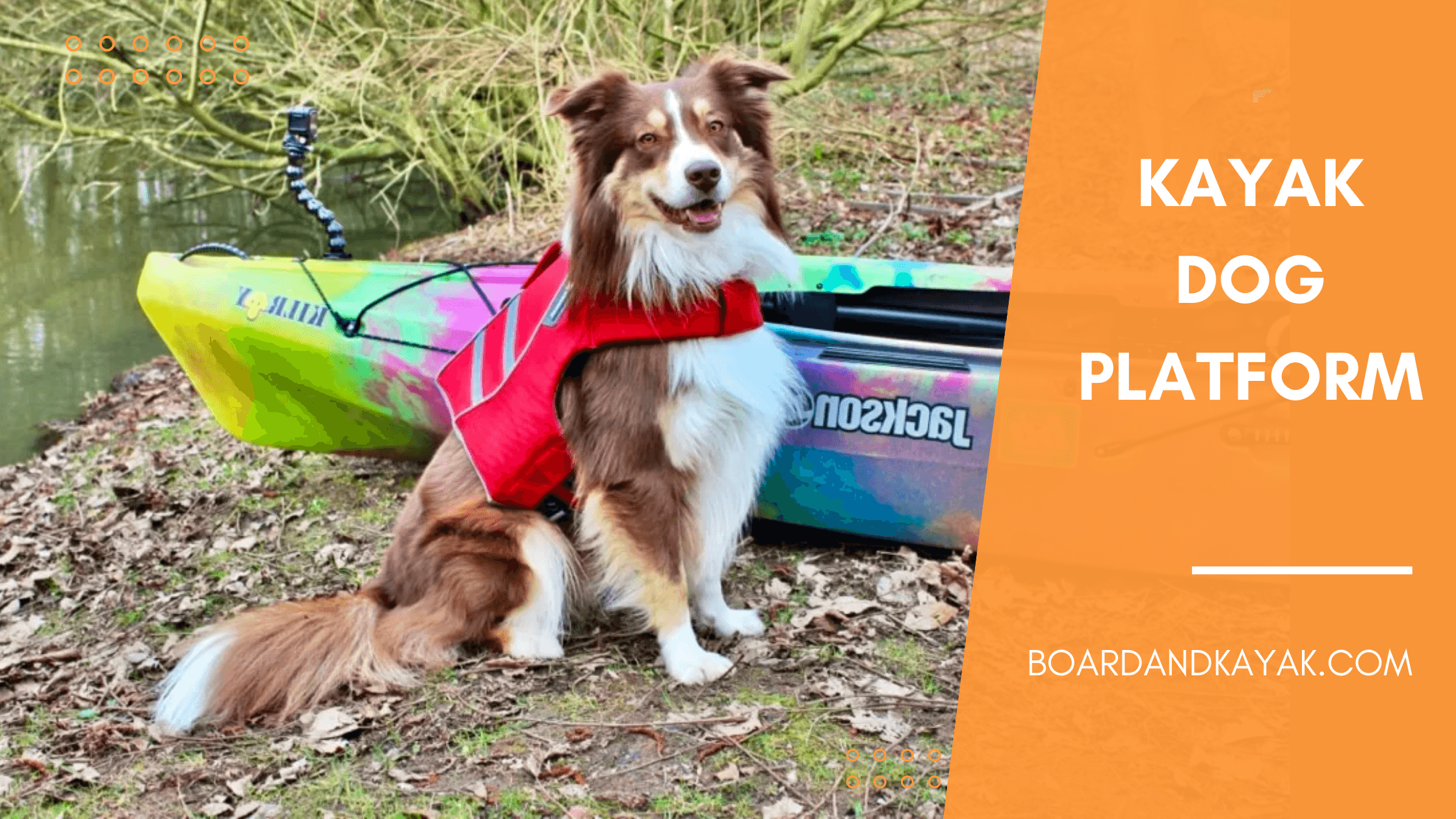 Kayak Dog Platforms: Adventure Companion for Your Pup