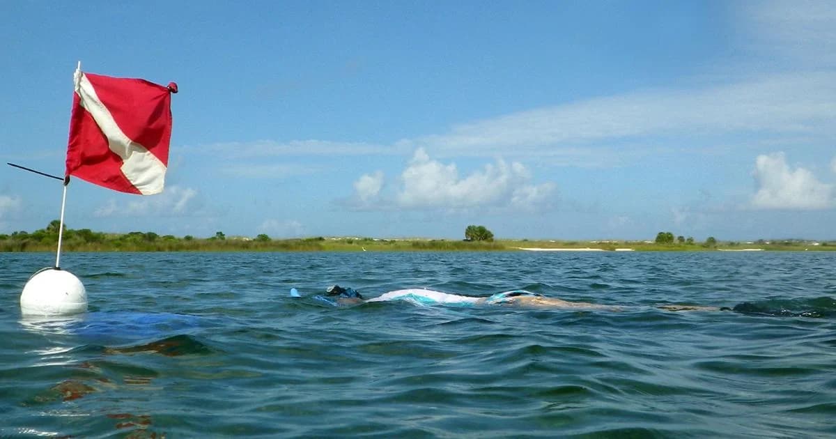 When to React: Red Flag with White Diagonal Stripe