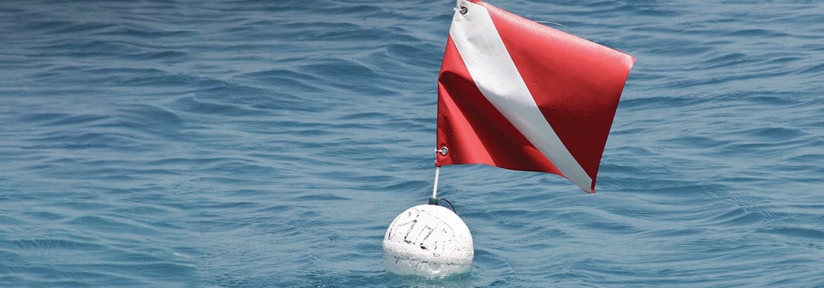 When to React: Red Flag with White Diagonal Stripe