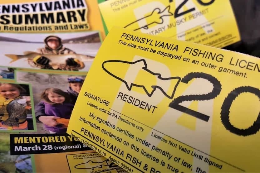 Get Hooked: The Guide to Walmart Fishing Licenses | Board and Kayak